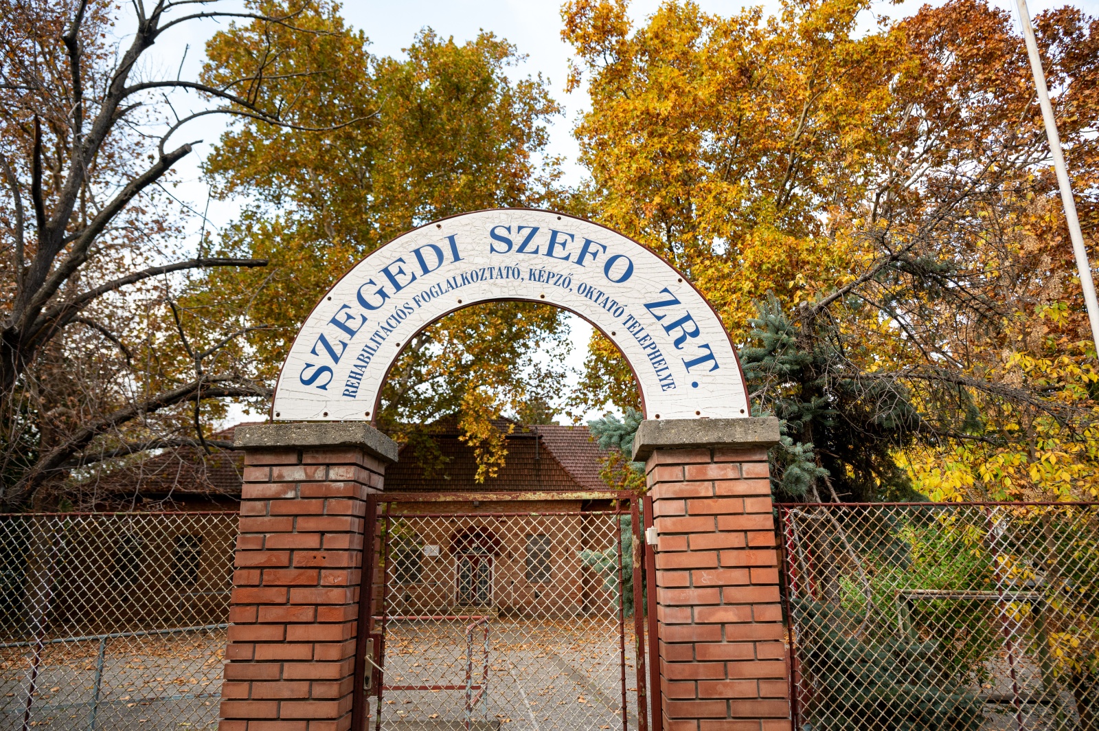 Ismét Makón nyitna üzemet a Szegedi SZEFO Fonalfeldolgozó – Szegeder